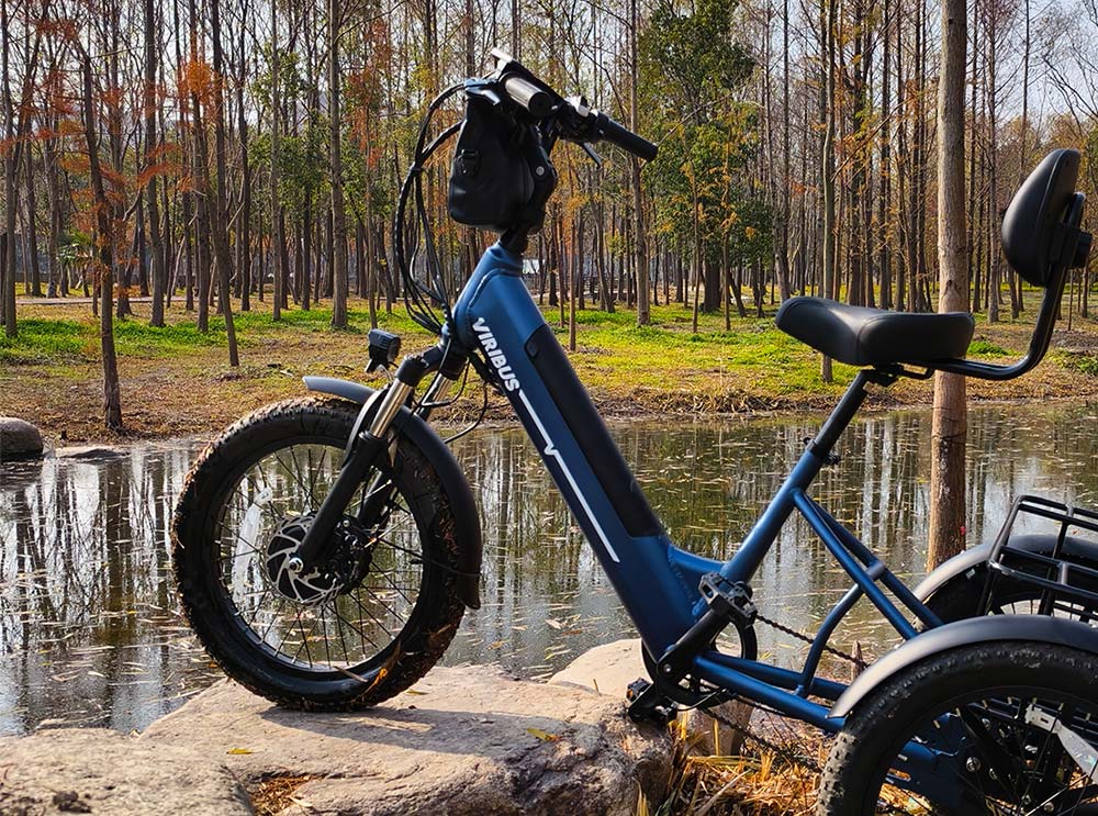 Fat Tire vs Regular Tire Adult Tricycles