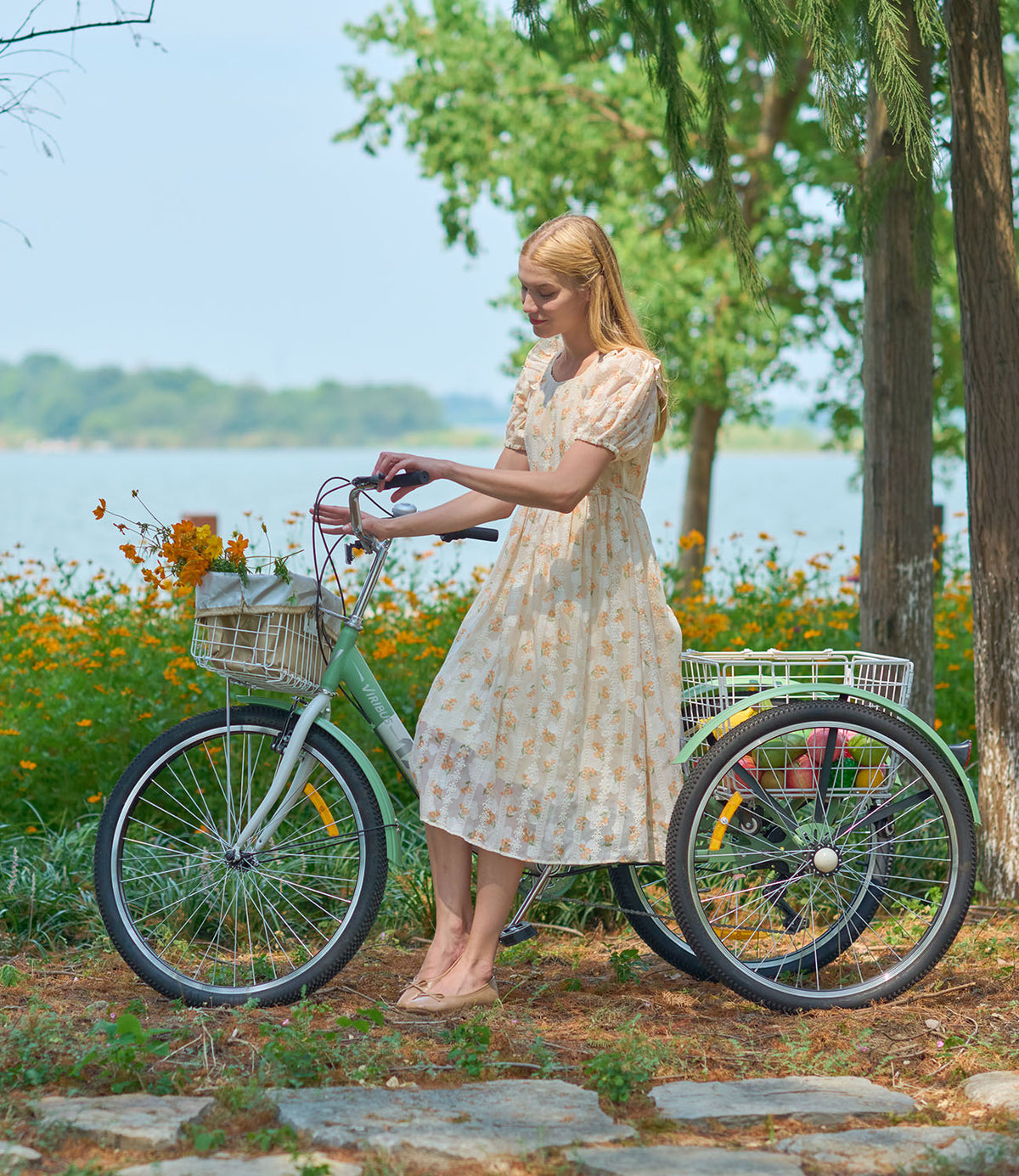 Viribus Adults Tricycle with Basket, 7 speed & Single-Chain